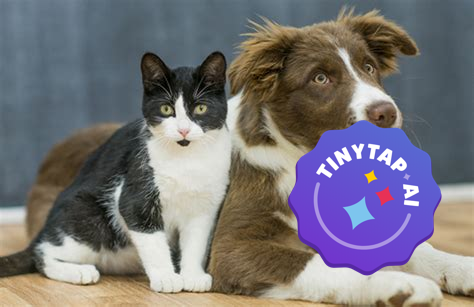 Dogs And Cats - TinyTap AI - Turn Any Topic Into a Game